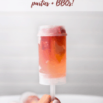 Summertime Rosé Push Pops | Hunger Thirst Play